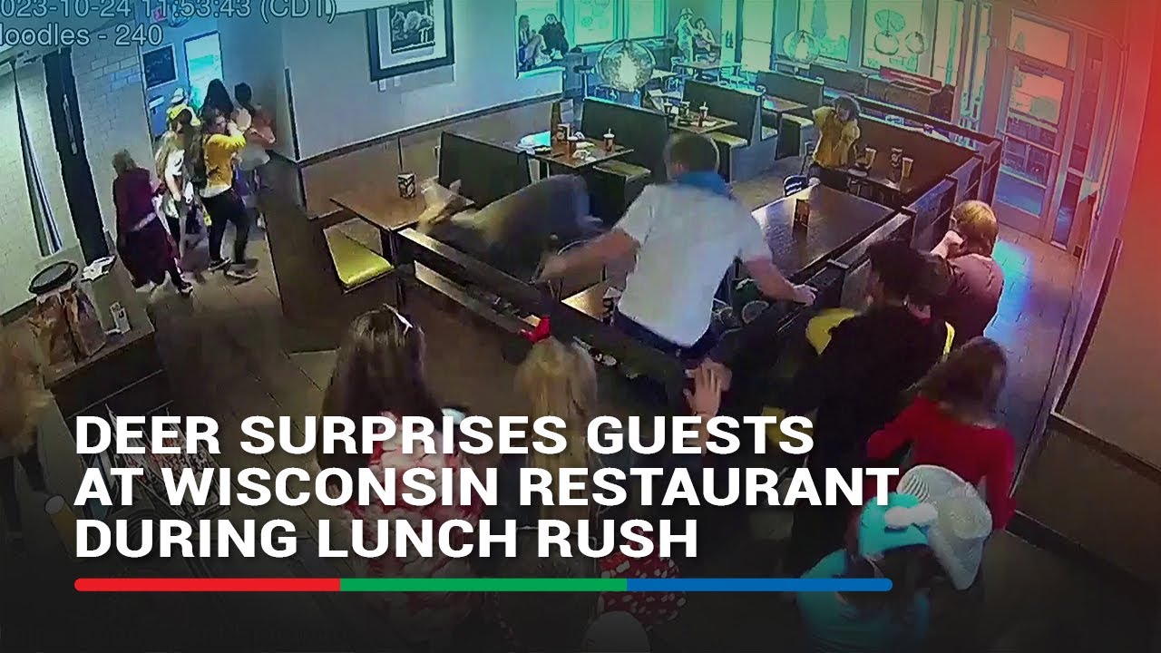 Deer surprises guests at Wisconsin restaurant during lunch rush | ABS-CBN News - YouTube