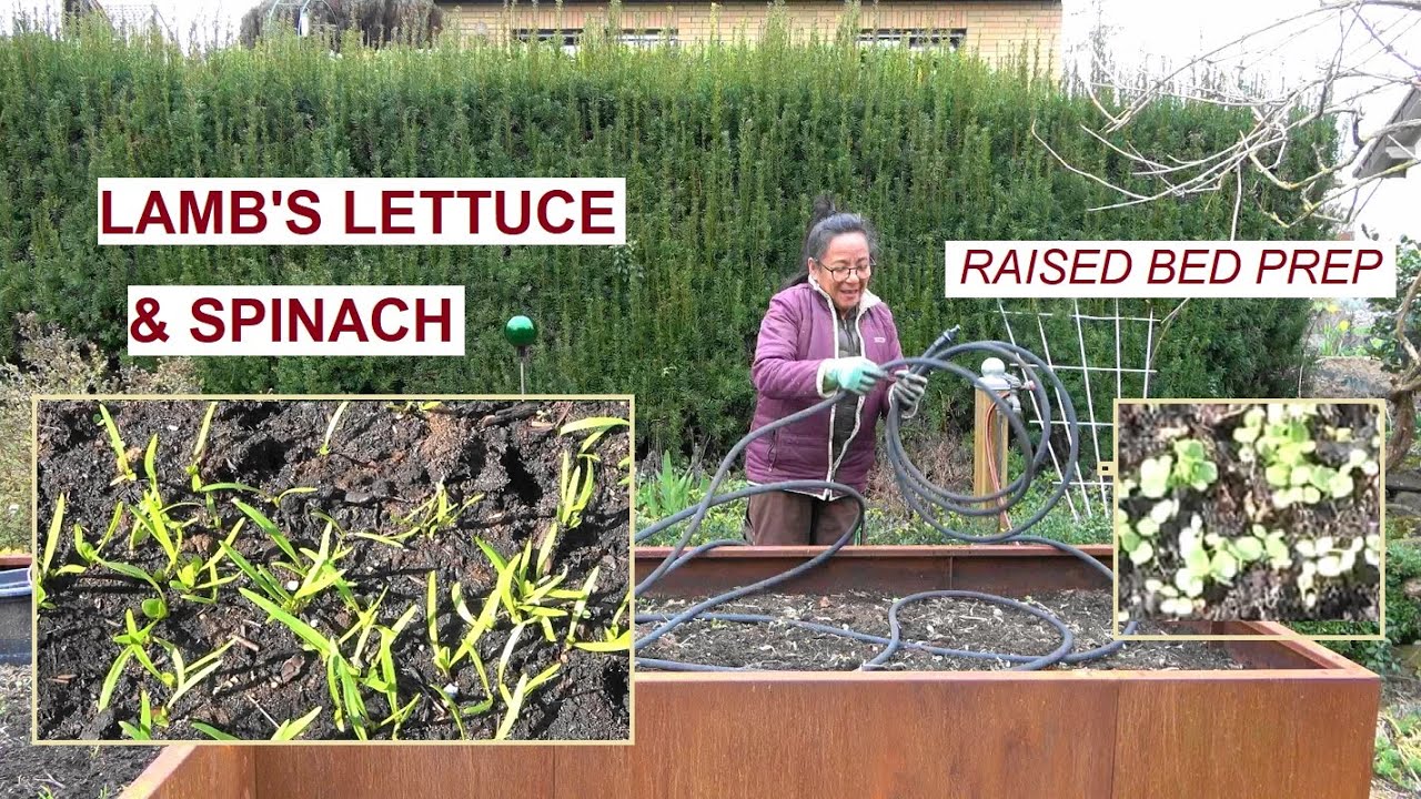 Spring Preparation/How I prepare my Raised Bed for the Season - YouTube