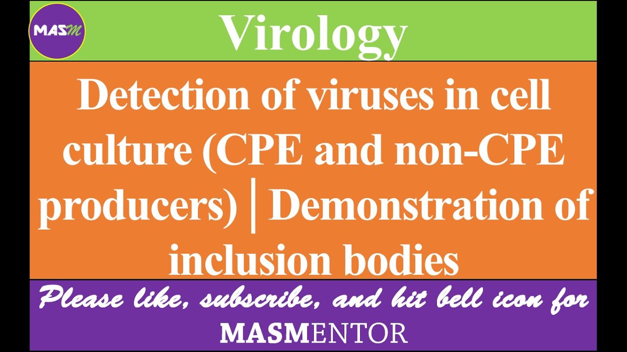 Detection of viruses in cell culture (CPE and non-CPE producers ...