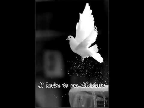 Îslam gelek tü şerîn î#kurtceilahi#ilahi#durumluk#wp#oruç#dinivideoları#cumamesaji#dinipaylasim