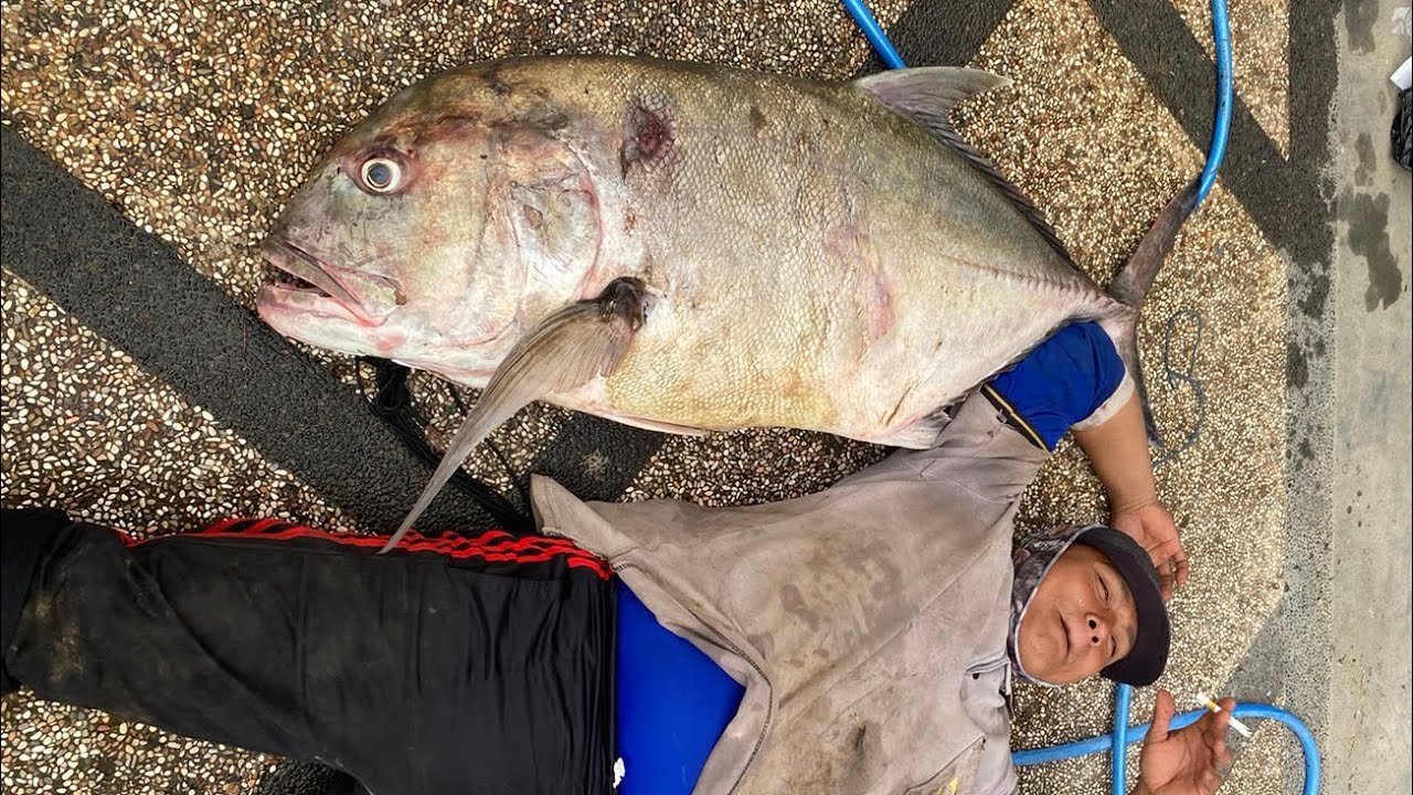 MONSTER GT 30 KG UP LANDED DI SPOT PANTAI POPOH || Rekor Baru - YouTube