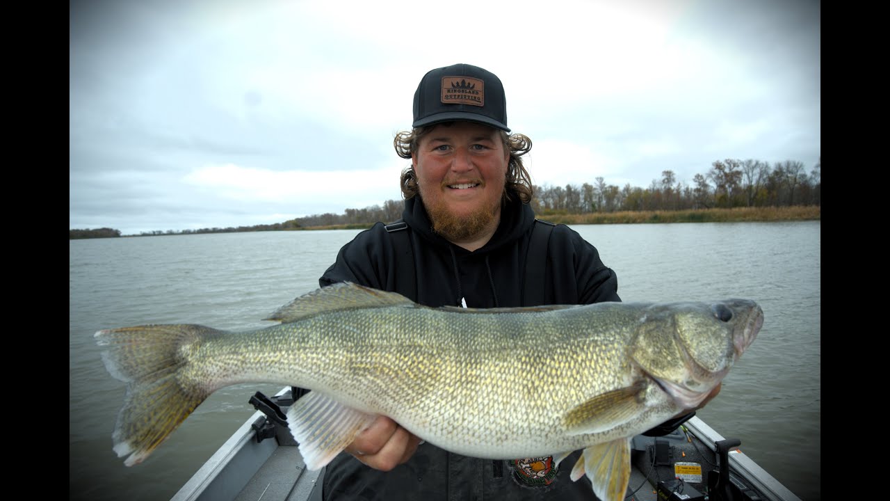Kickerfish Pre Fishing 11.76 LB Walleye On The Red River! - YouTube