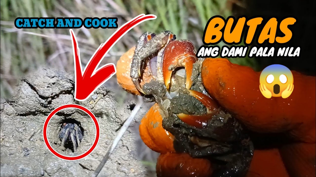 PANULO OG KAYAMAS (DAKUMO) | KINABUHING POBRE | CATCH AND COOK - YouTube