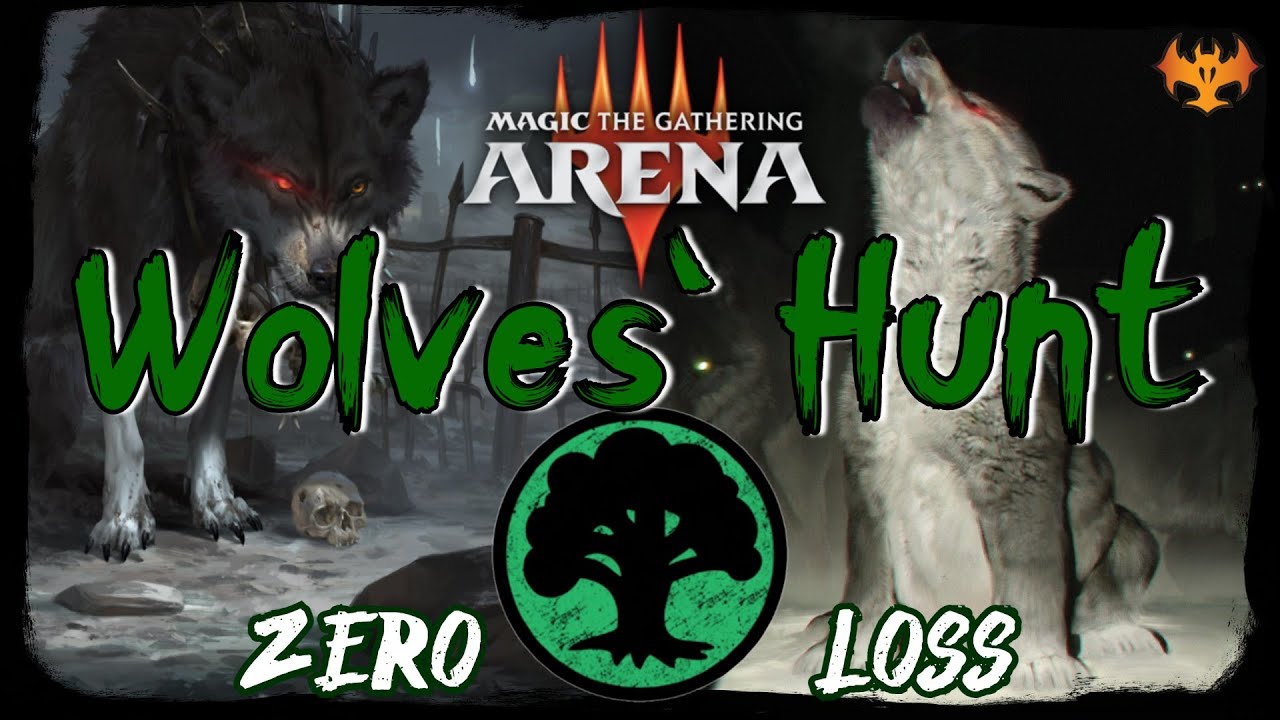 You Are Being Hunted | MTG Arena - Mono Green Wolf Tribal SIX WINS ...
