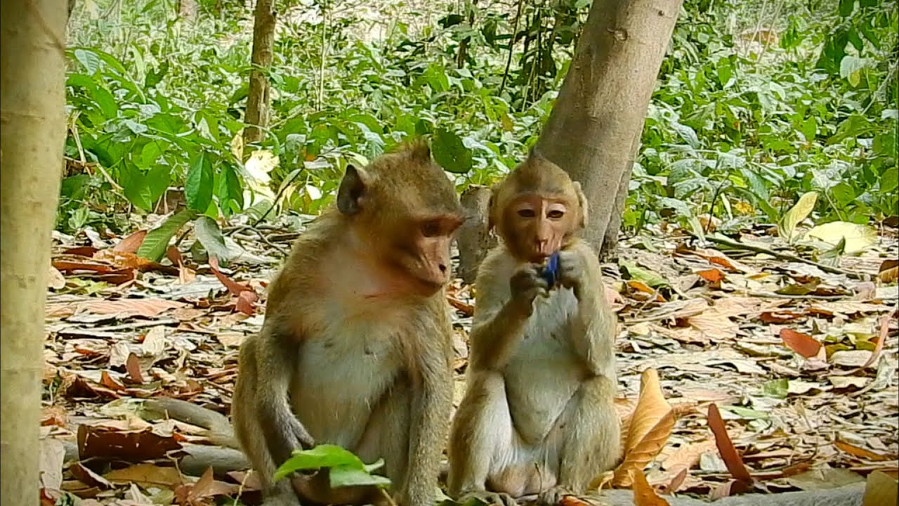 Happy baby jazzy baby jonna next to his mom jane - YouTube