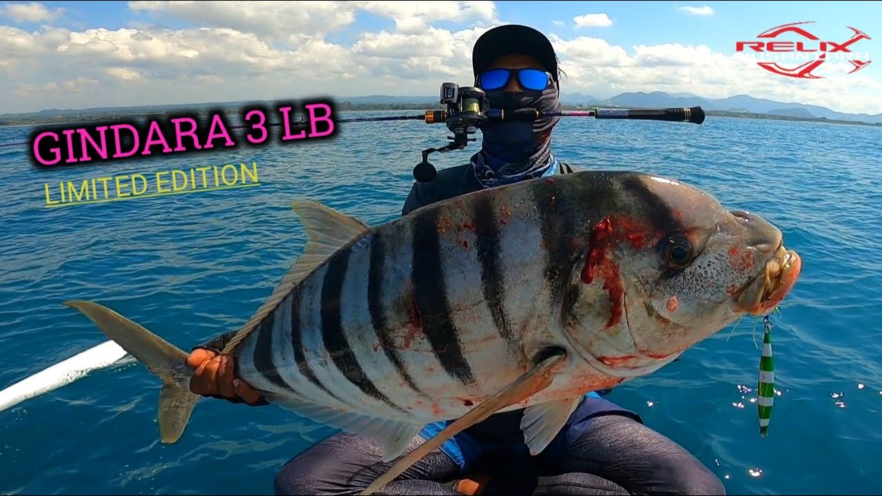 JIGGING 120 GR ft GINDARA 3LB YANG MAKAN IKAN BESAR ‼️ || HFB 185 - YouTube