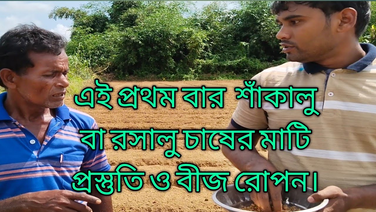 এই প্রথম বার শাঁকালু বা রসালু চাষের মাটি প্রস্তুতি ও বীজ রোপন//This is ...