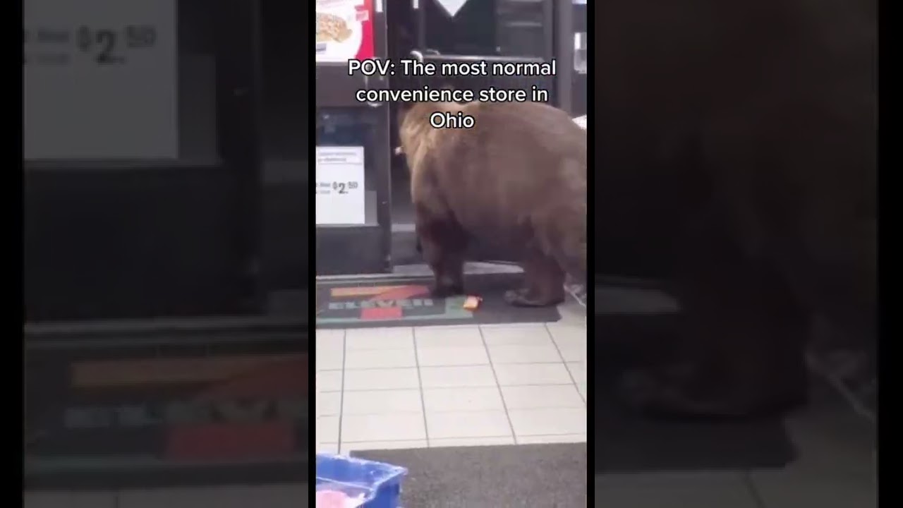 POV: The most normal store in Ohio - YouTube