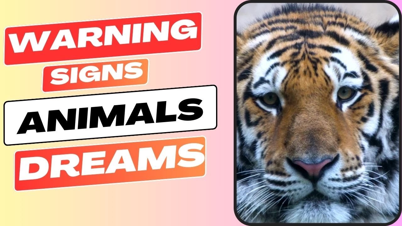 10 common Animal dream interpretations and meanings - YouTube