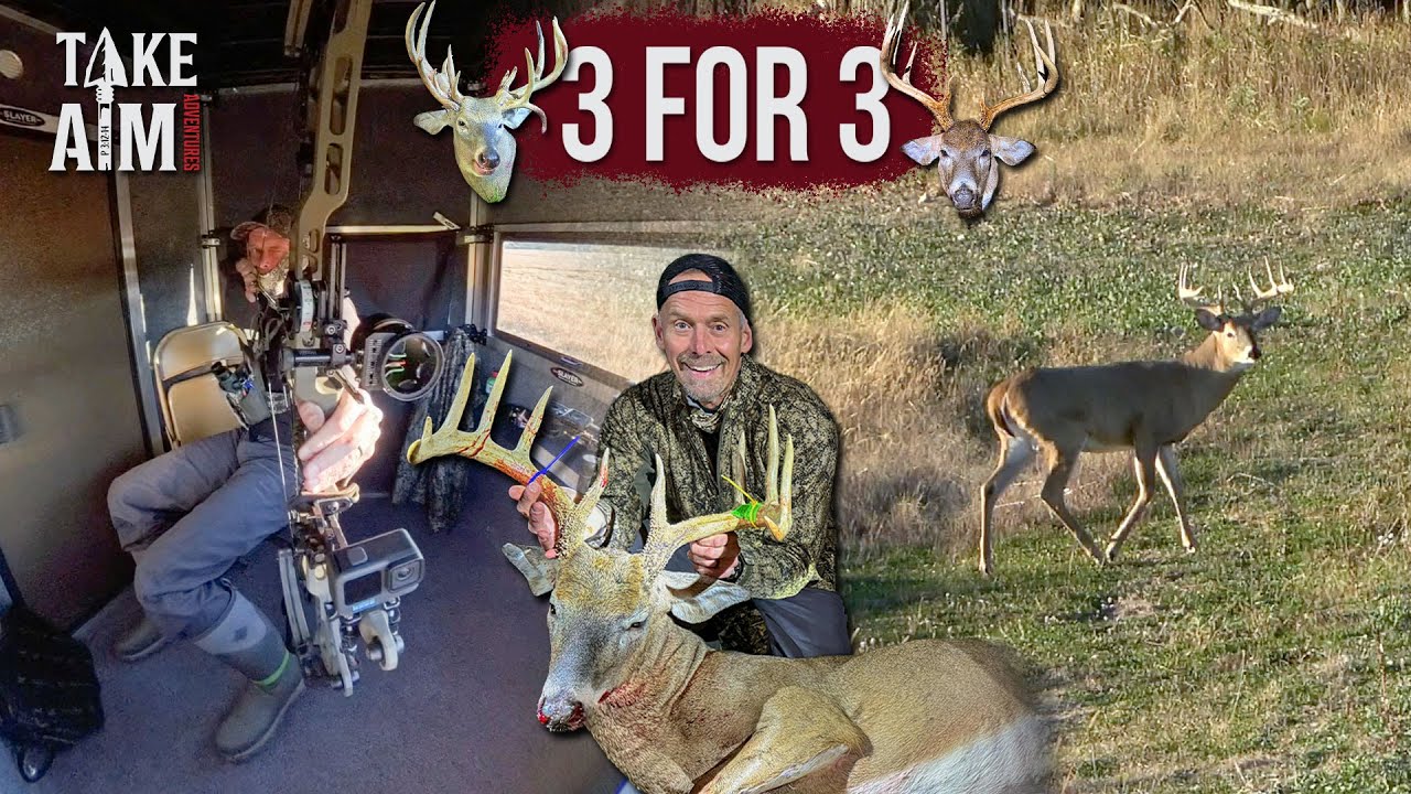 3 Monster Michigan Bucks Shot In The Same Field Over 2 Years - YouTube