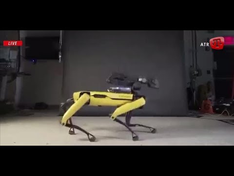 Музыкальная пауза. Зажигательный танец от робота «Boston Dynamics ...