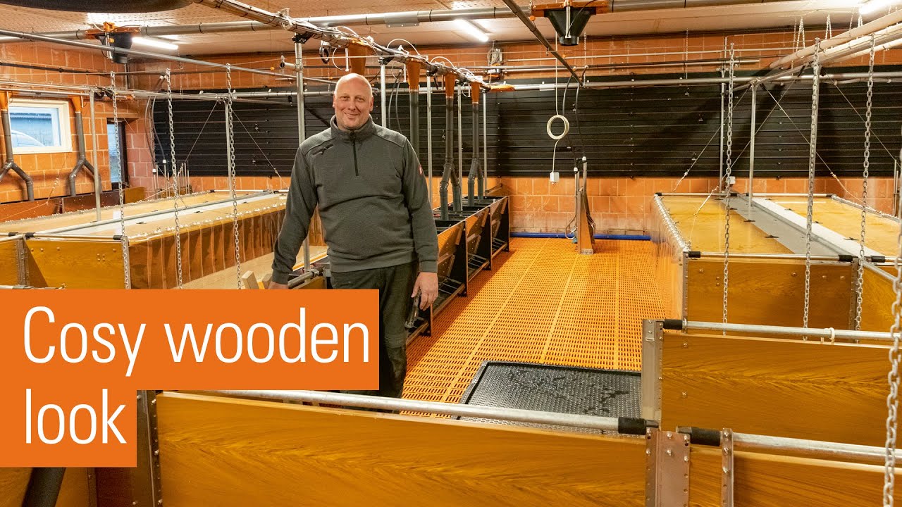 Piglet rearing | Animal welfare barn - YouTube