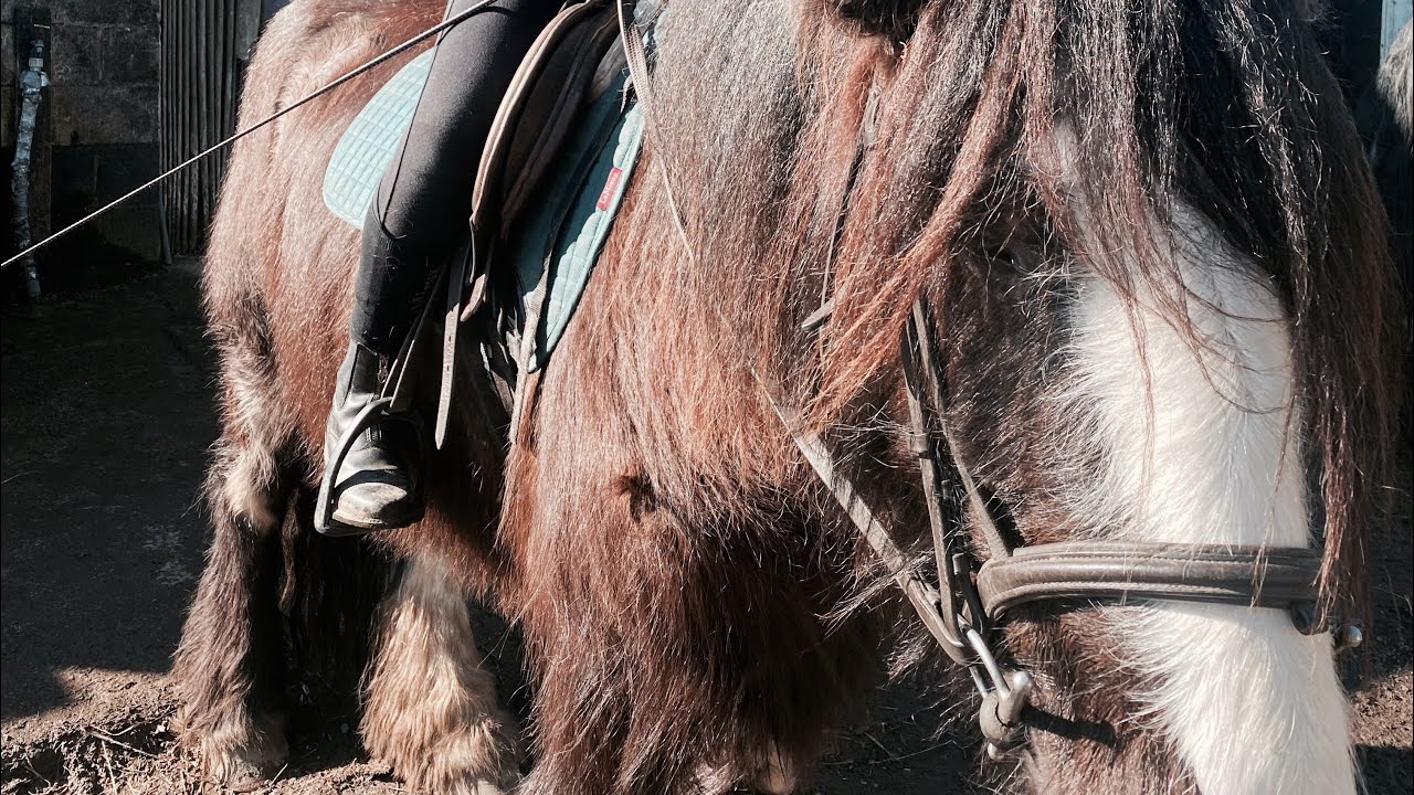 GRUWM for horse riding - YouTube