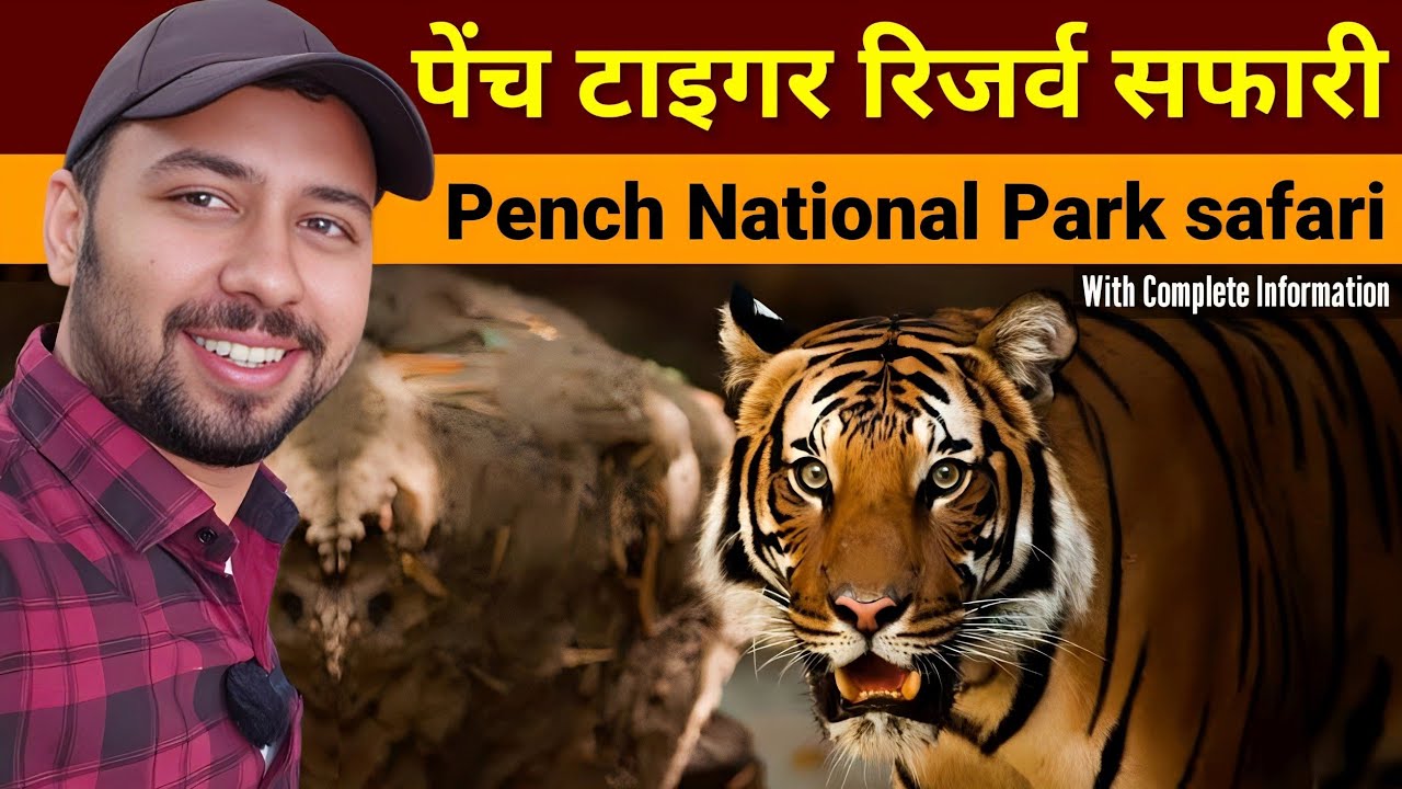 Pench National Park | Pench Jungle Safari | Pench Tiger Reserve | How ...