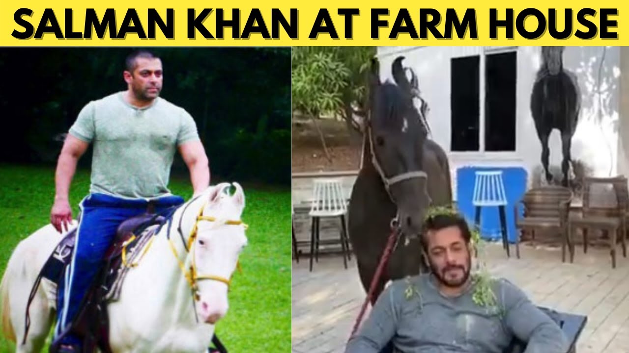 Salman Khan Farm House At Panvel , Video - YouTube