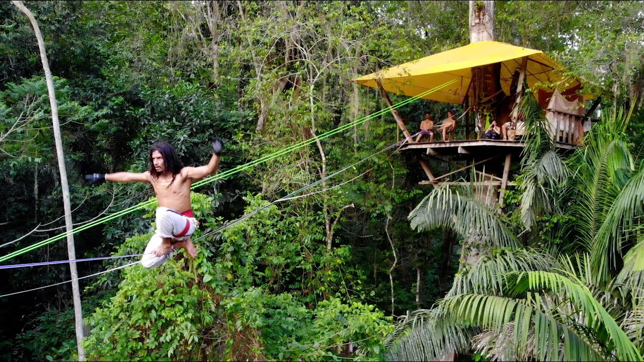 The Discovery of the Canopy Tribe - YouTube