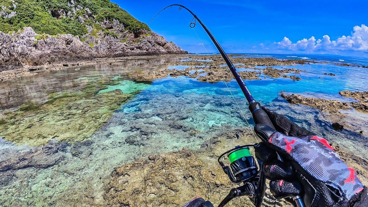 Fishing Small Lures In Shallow Reef Pools - YouTube