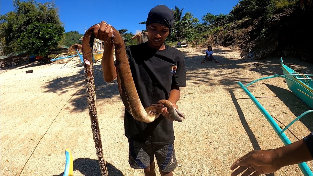 Nakahuli kami ng malaking igat dagat (malabanos) at alimasag | Catch ...