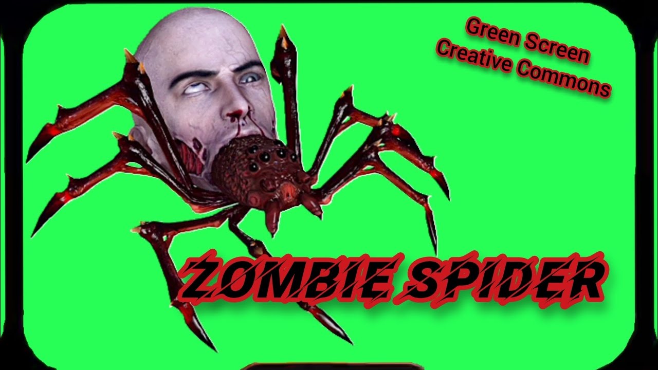 ZOMBIE SPIDER ANIMATION GREEN SCREEN.VIDEO FOOTAGE OF ZOMBIE SPIDER ...