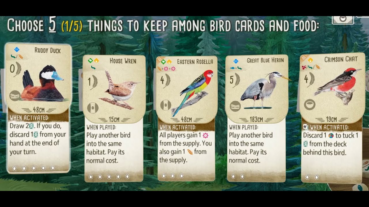 STT Tournament Stage 1, Game 2 - Too Late for the Drongo? - YouTube