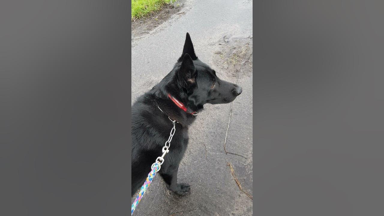 Lukasch in Tour 🐺🏃‍♀️ - YouTube