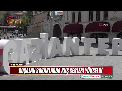 BOŞALAN SOKAKLARDA KUŞ SESLERİ YÜKSELDİ