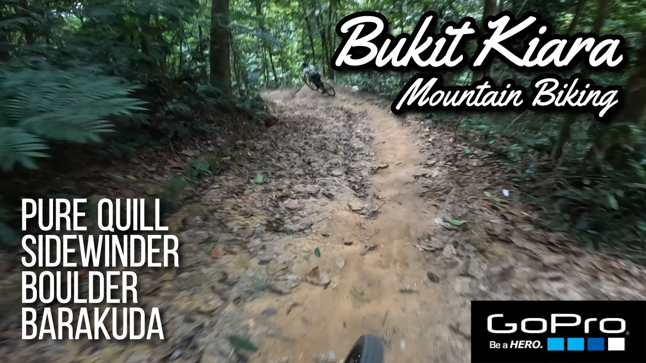Must-Ride Trail Combo! Pure Quill + Sidewinder Jumps @ Bukit Kiara MTB ...
