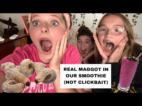 BLIND SMOOTHIE CHALLENGE(MAGGOTS) - YouTube