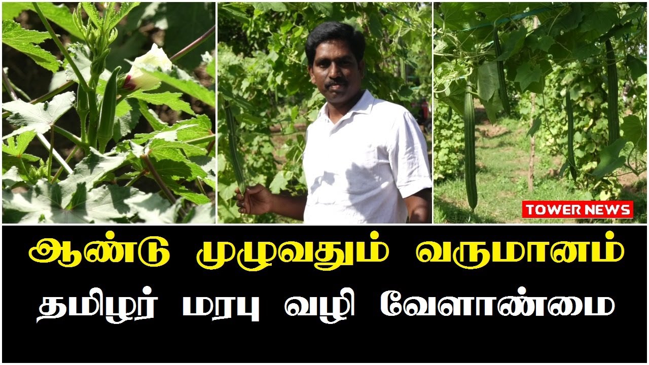 ஆண்டு முழுவதும் வருமானம் | Tamilar Velanmai | Organic Farming ...