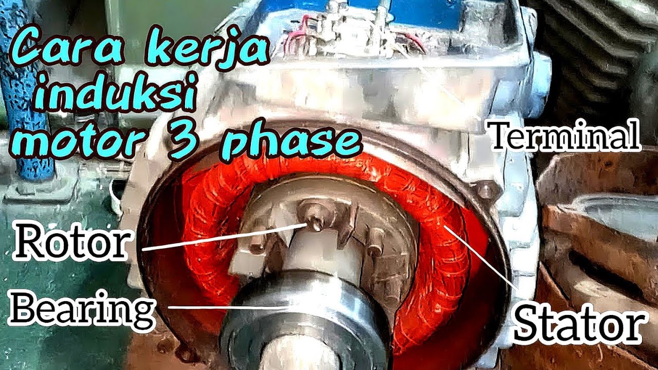 Cara Kerja Motor Induksi 3 Fasa | Induction Motor 3 Phase Explained ...
