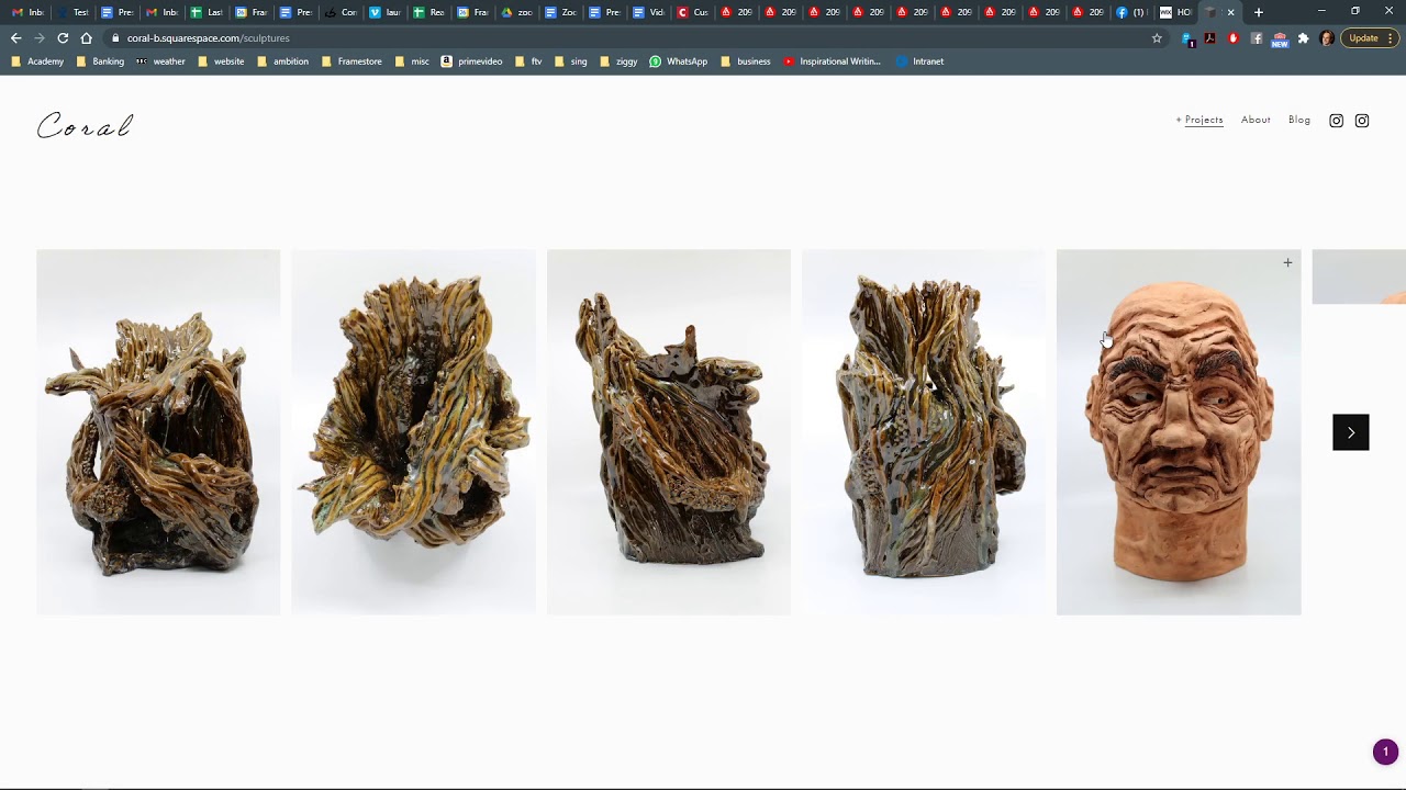 fall 2020 anm205 11 coral carson - YouTube