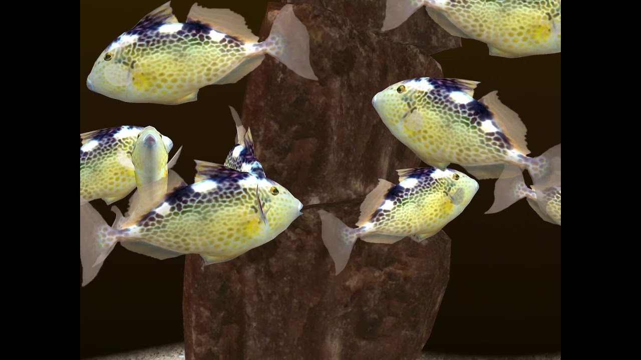 Fish Farm 3 Reef Aquarium Lv 211 Starry Triggerfish - YouTube