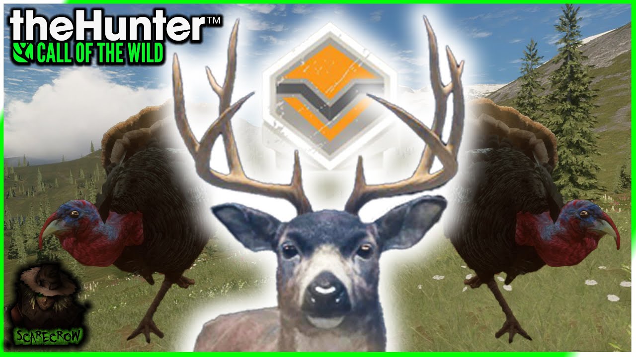 A HUGE Diamond Blacktail Deer And The Weirdest Double Diamond Turkey ...