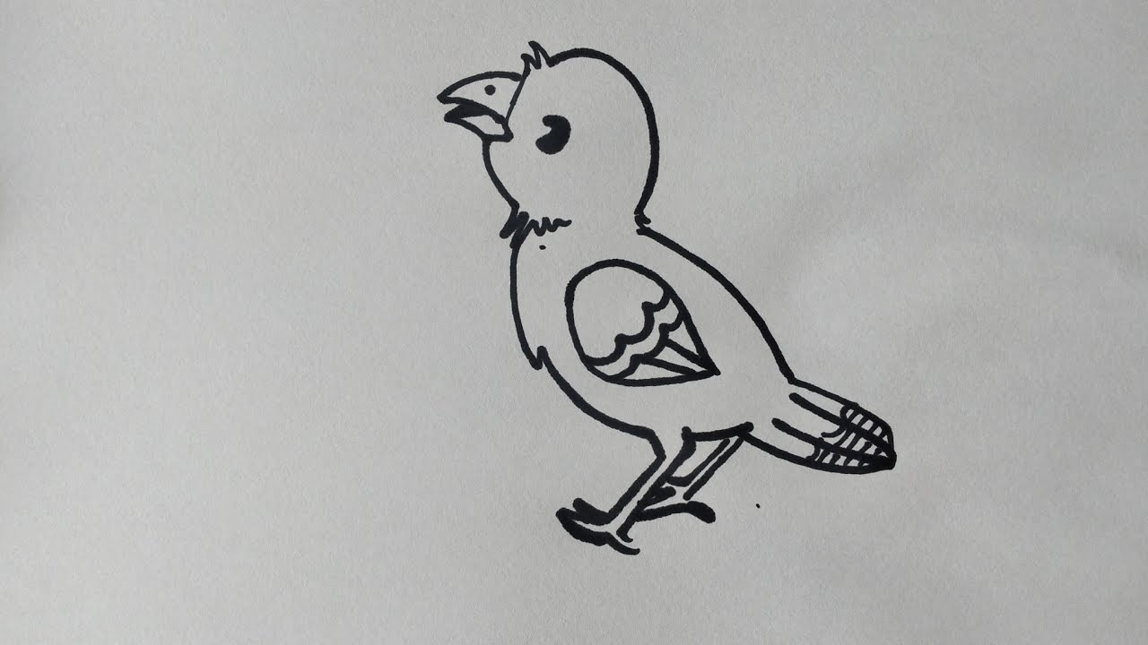 How to Draw Birdie - YouTube