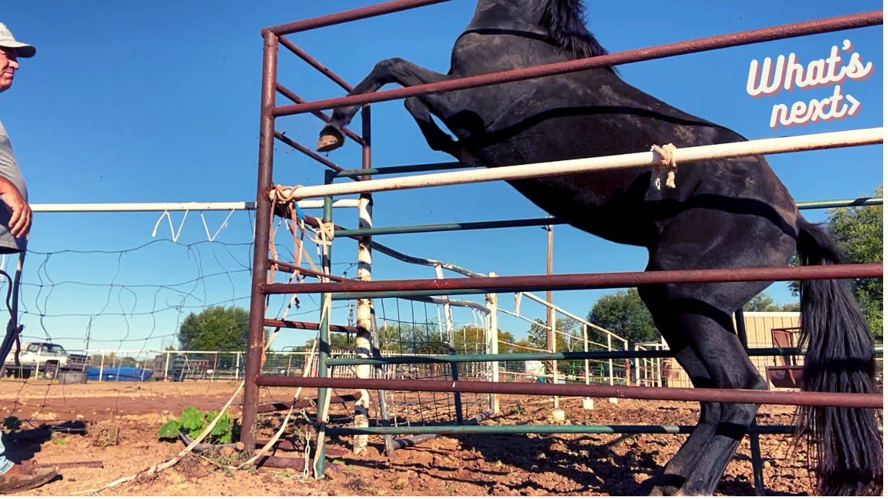 THIS WENT EXACTLY AS PLANNED 😍 - YouTube