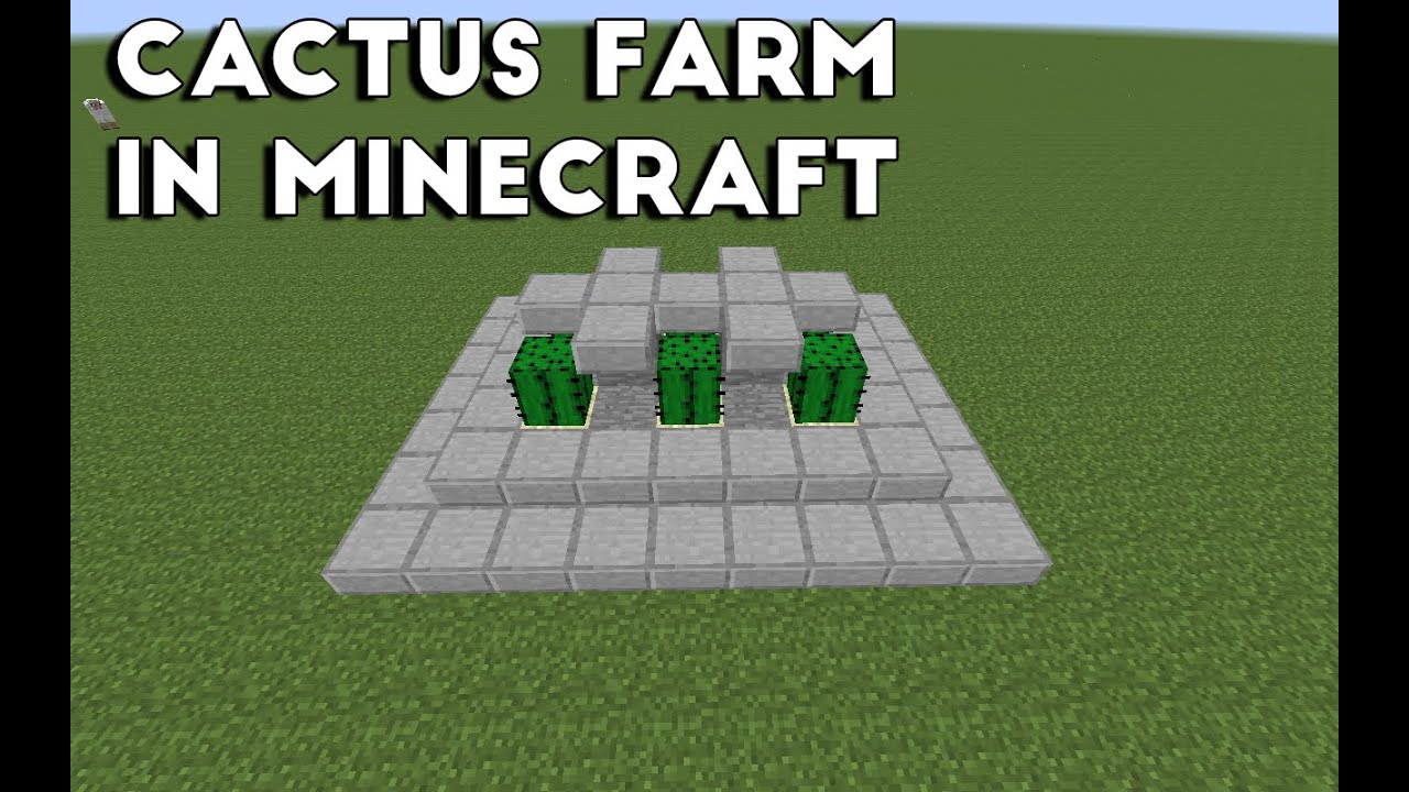Things to Build: Cactus Farm - YouTube