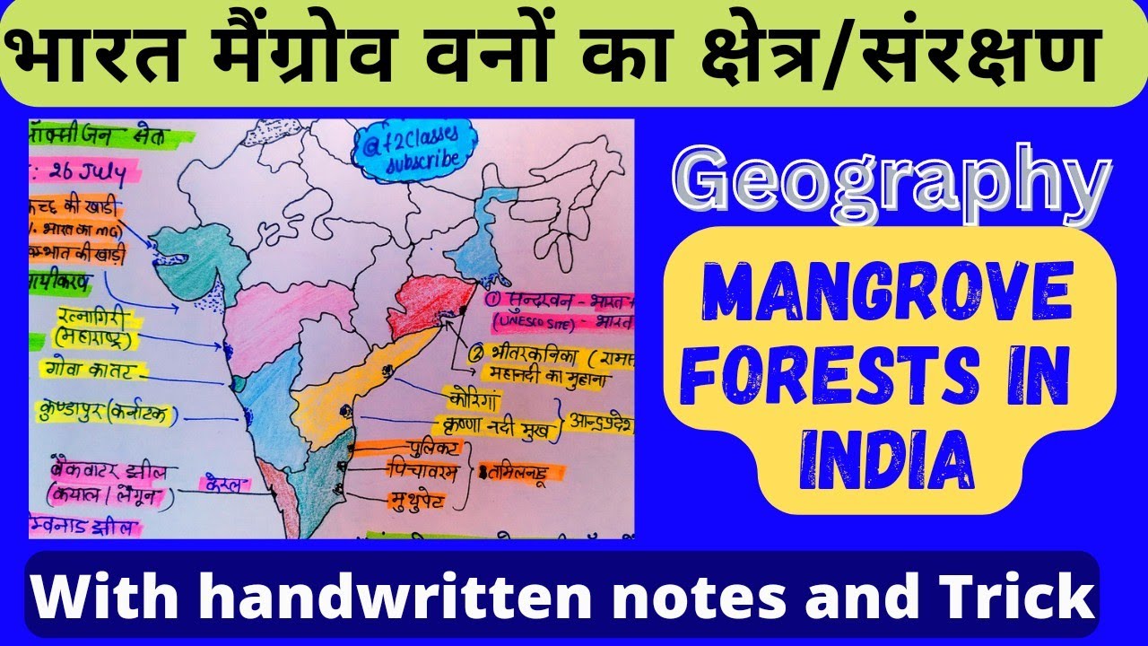Mangrove forest in India. भारत के मैंग्रोव वन। Indian mapping series ...