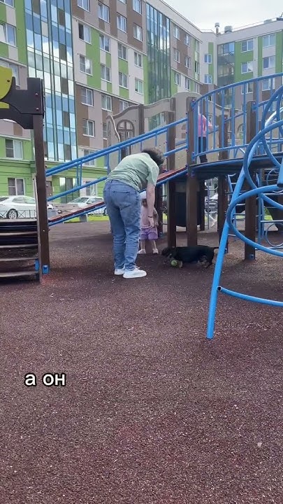 Что ни день, то приключение #жизненныеистории #lifestory - YouTube