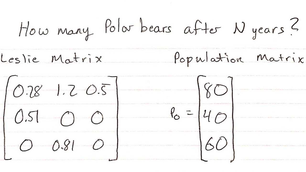 Leslie Matrices - YouTube