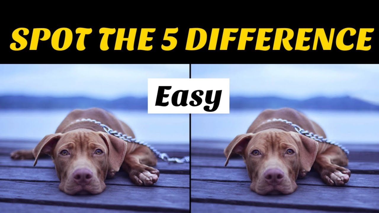 spot the difference | find the difference | spot the differences | find ...