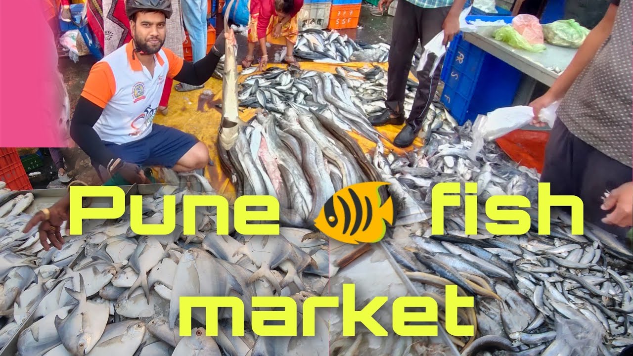 Pune 🐠fish market | 🦐🦞🦀 पुणे मच्छी मार्केट | कशा प्रकारे खरेदी करू शकता ...
