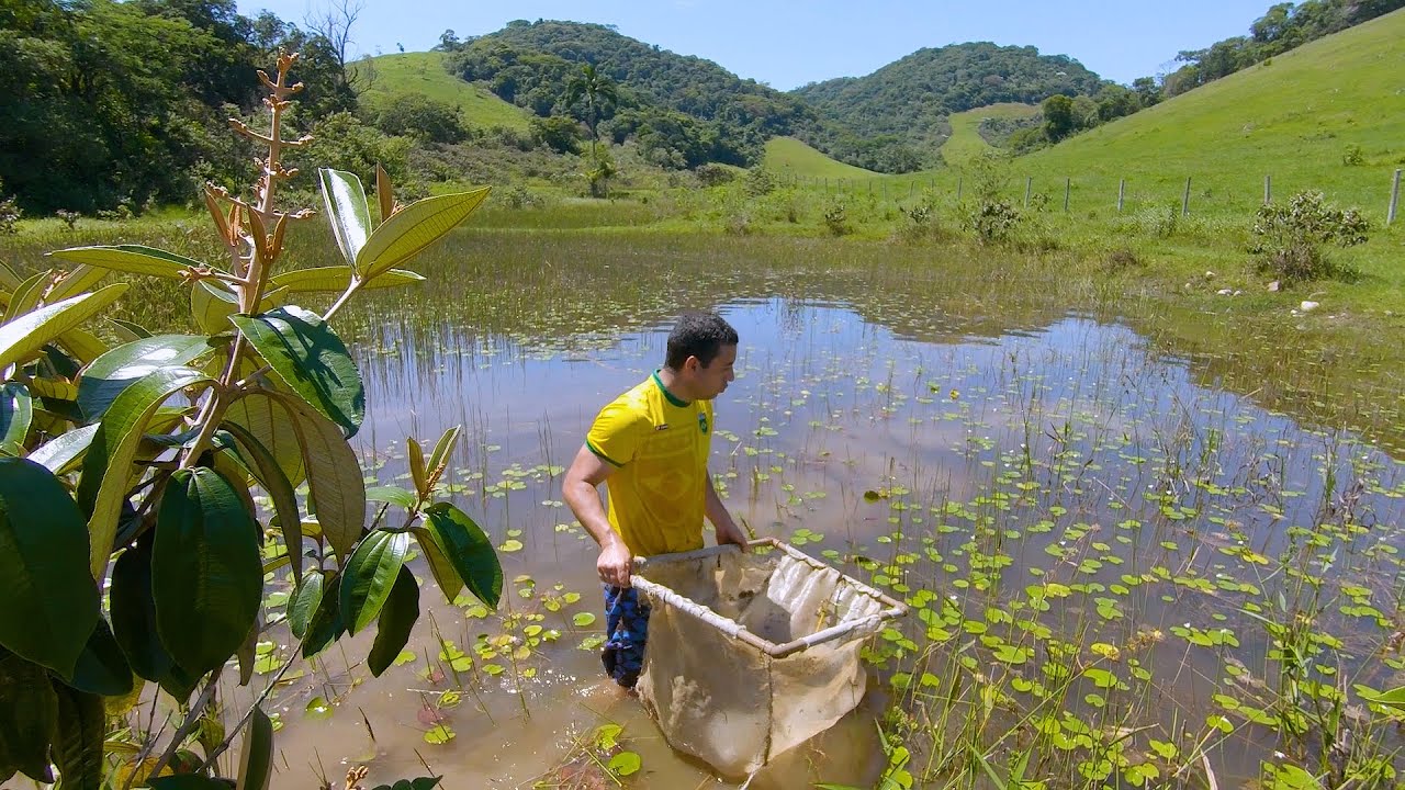 Passamos a peneira no lago - pesca de peneira - YouTube