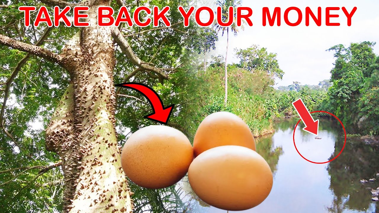 If The Person Owe You Try This Simple & bPowerful Direction With Onyina ...