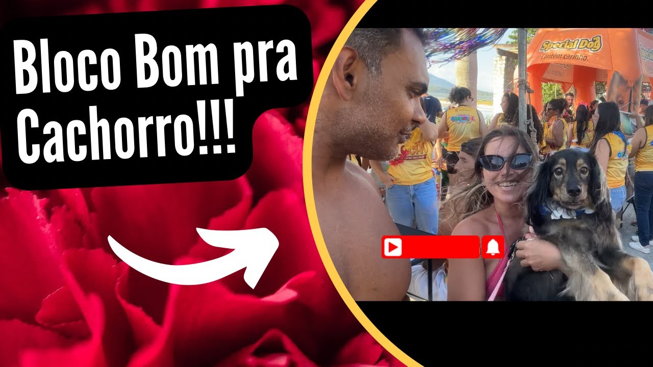 Bloco Bom para Cachorro! O Carnaval Pet Mais Divertido de Saquarema! 🎭🐶 ...