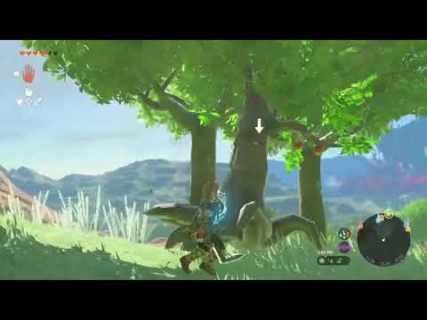 (Zelda Tears of The Kingdom) World Exploration Type Theme "Travel the ...