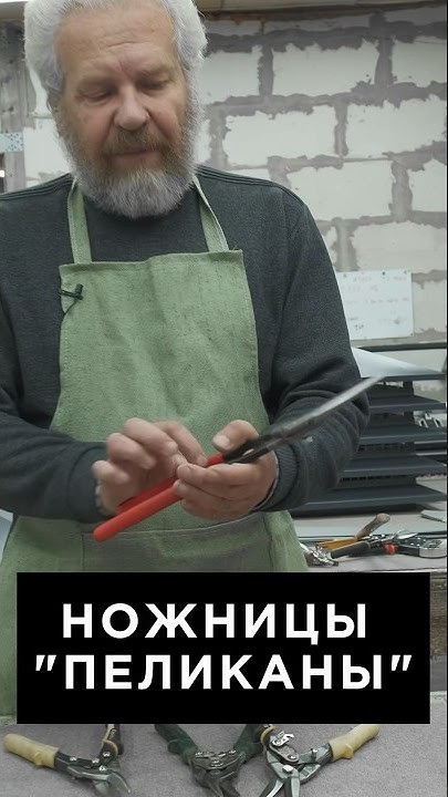 Ножницы Пеликаны, в чем особенность - YouTube