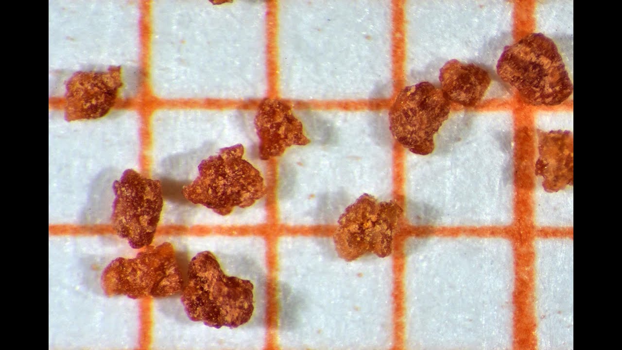 MicroPro by Molofeed. - YouTube