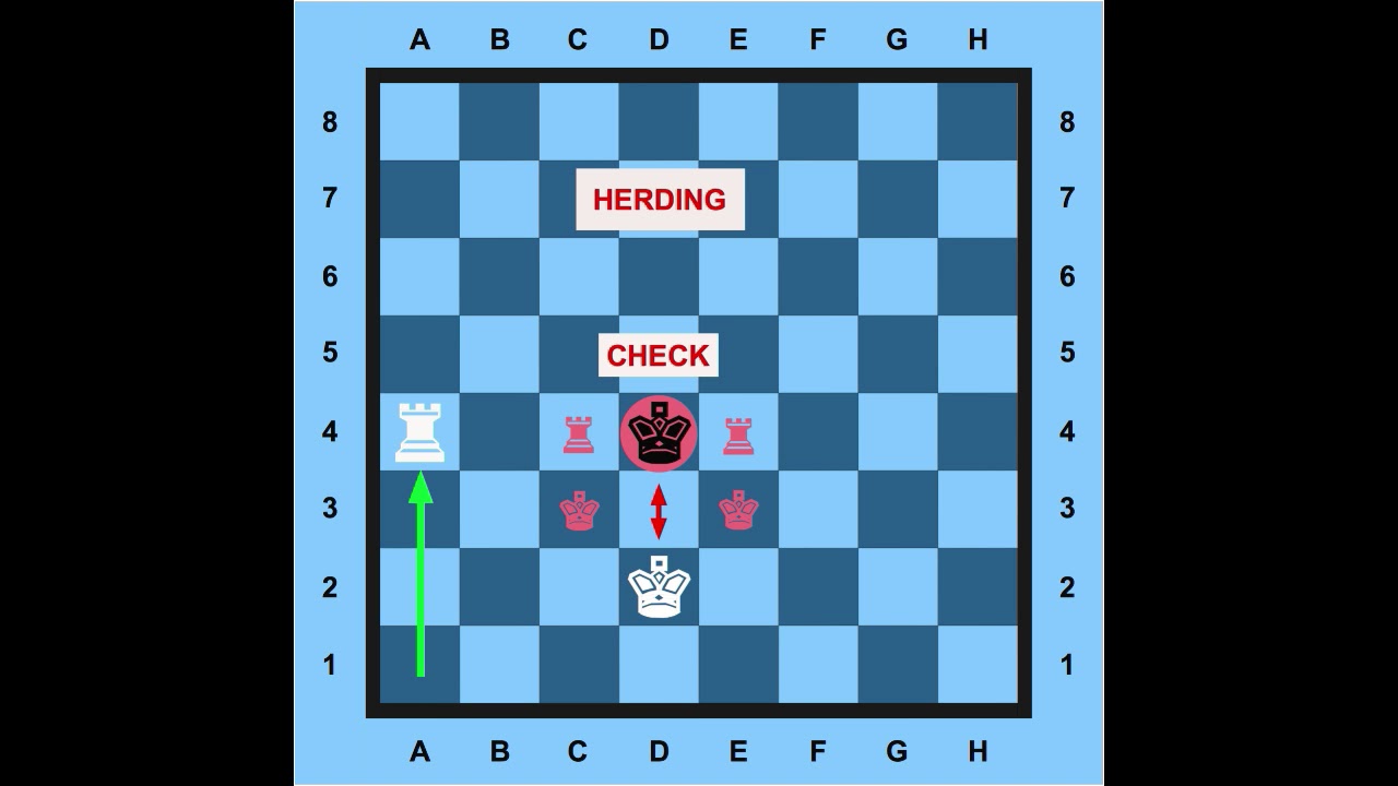 Basic checkmates for beginners and new players - YouTube