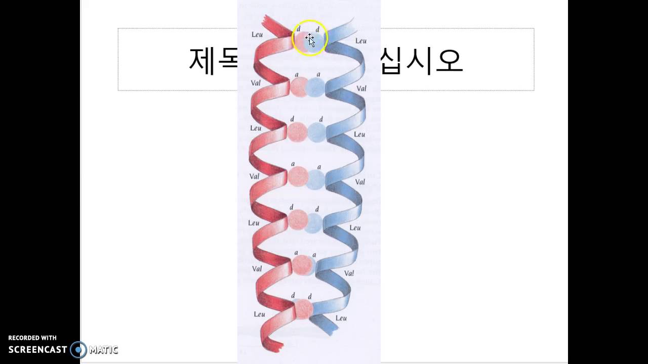 Chapt 3. Alpha protein: Coiled coil - YouTube
