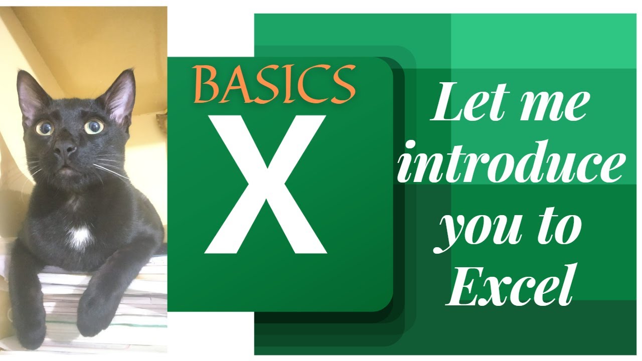 Introduction to Excel sheet | Basics of excel | MS Excel names and ...